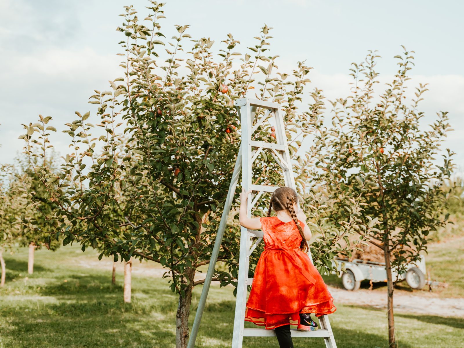 Circuits touristiques – Itinéraires – Le Chemin du Roy : Chemin du Roy